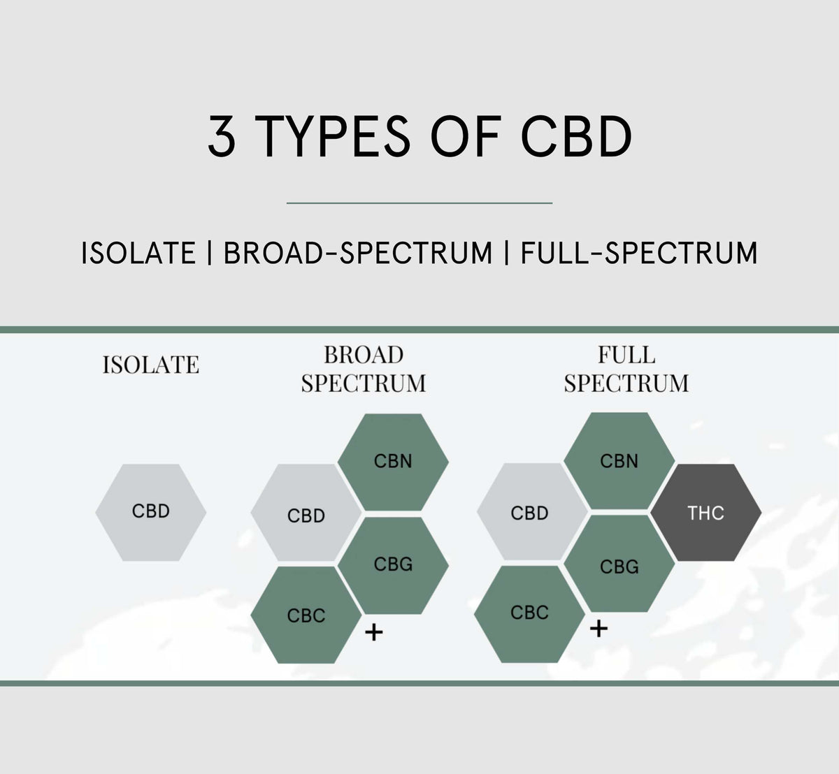 The 3 Types of CBD: Which is Best for You & How to Identify It – JADED